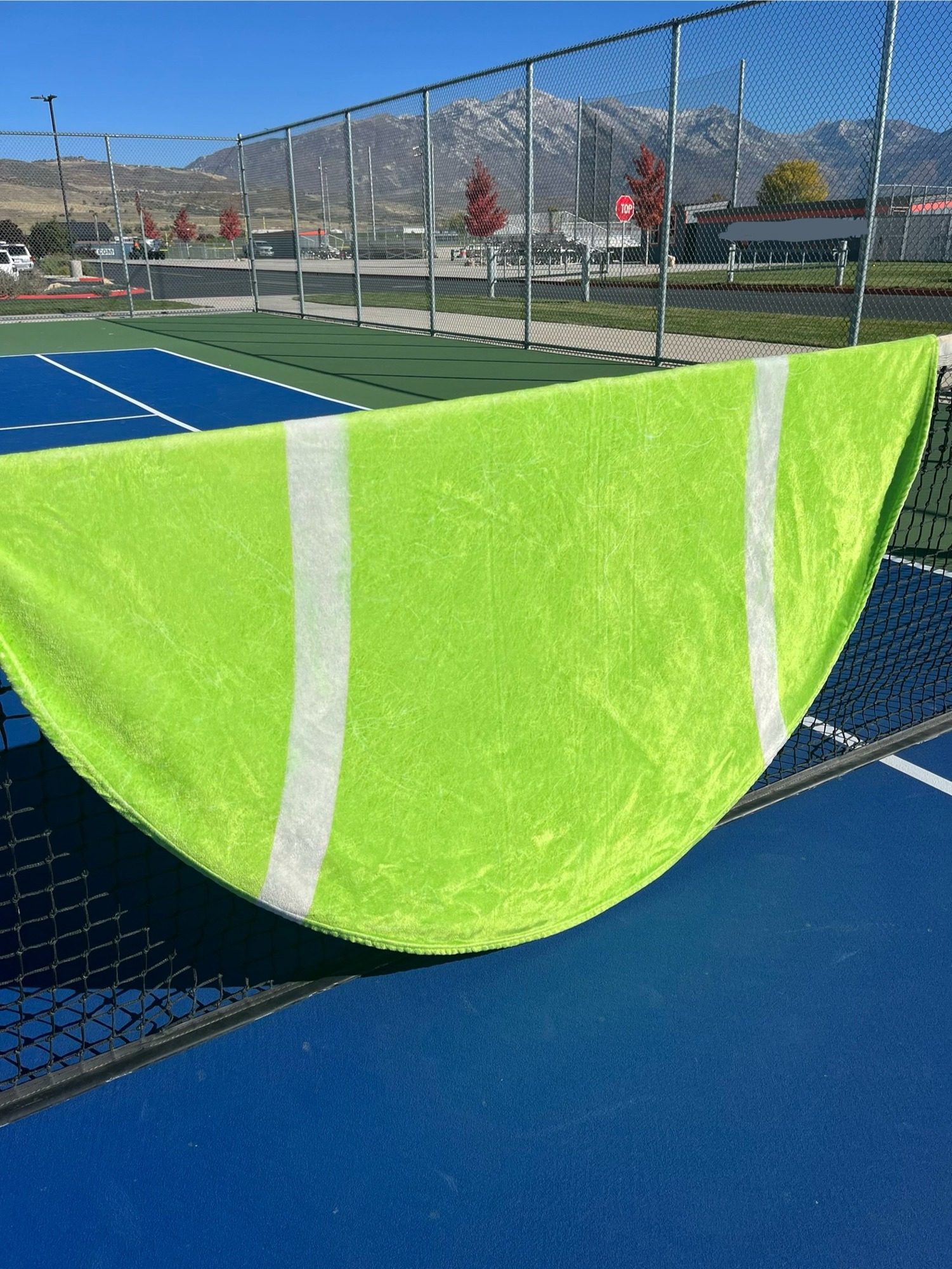 The Ball Blanket | Jane.com