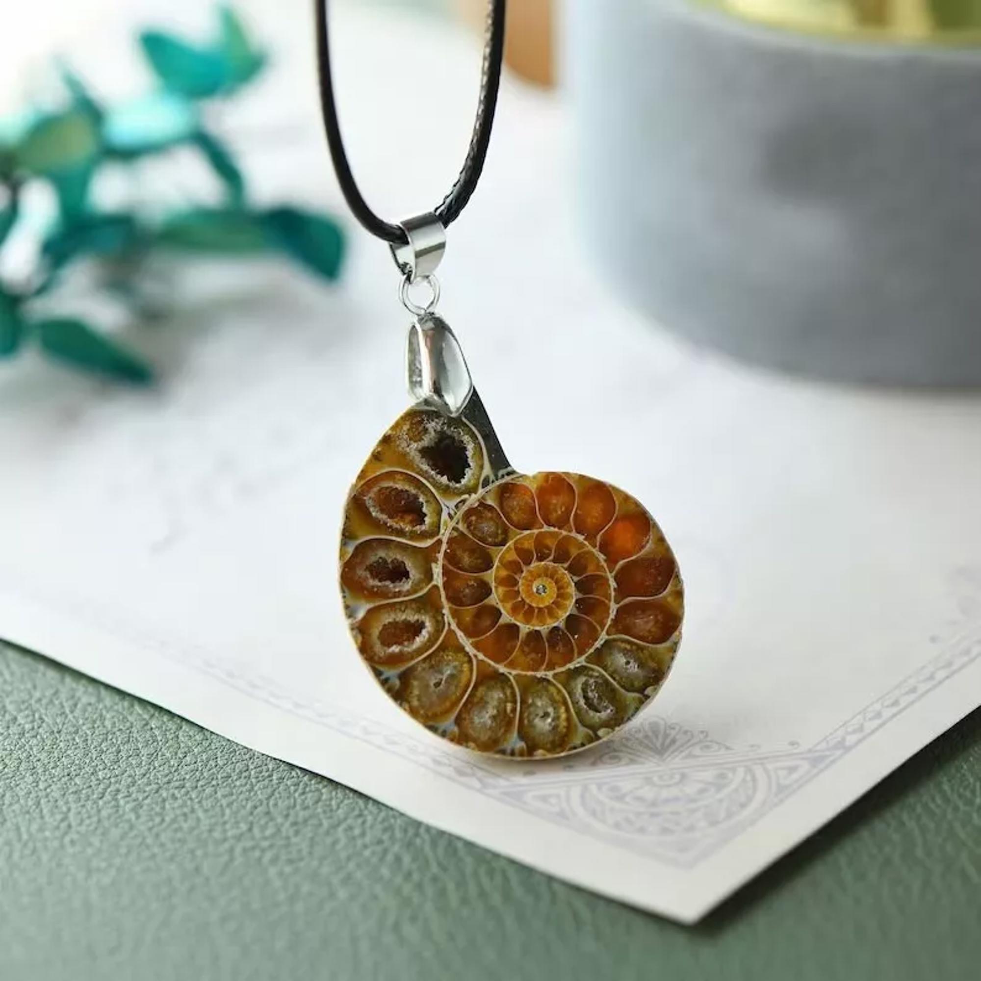 Real Ammonite Fossil Shell Handmade Pendant Adjustable Necklace Gifts ...
