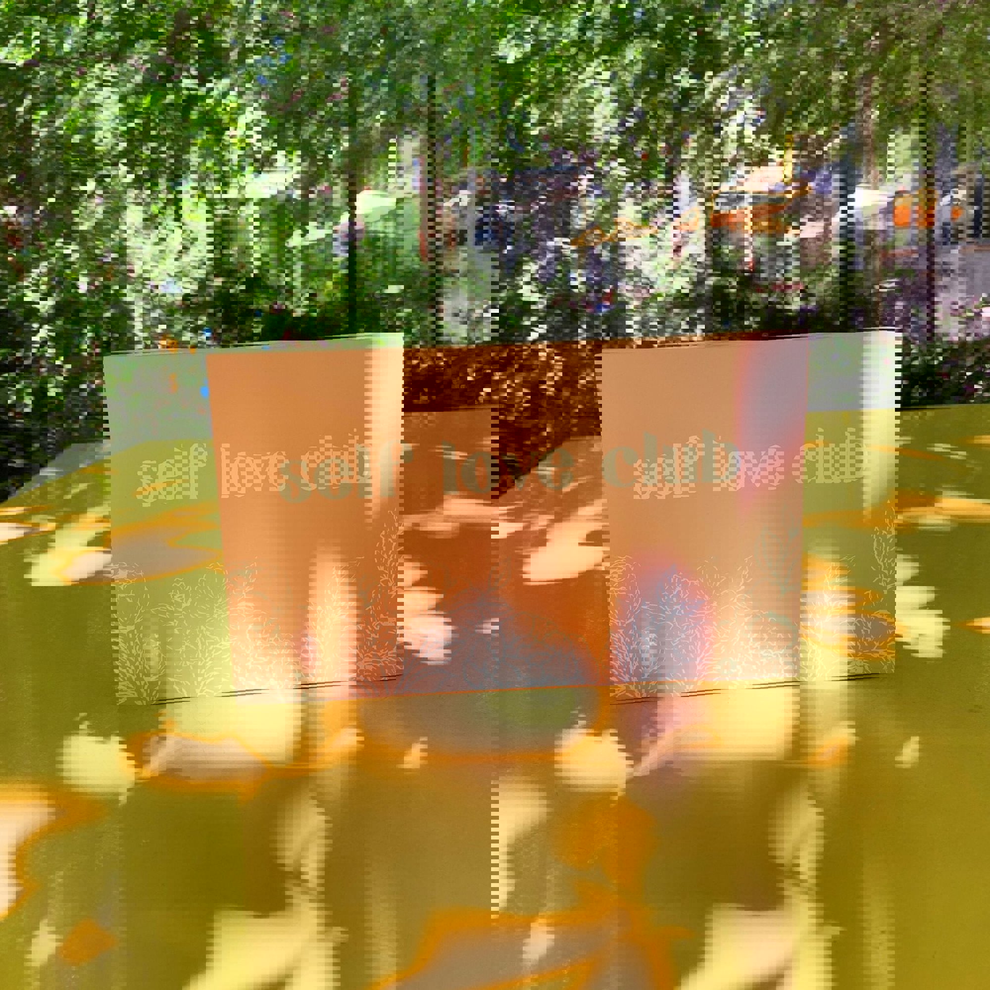 Cute and Funny Graphic Wooden Box Signs with Sayings for Gallery Walls ...