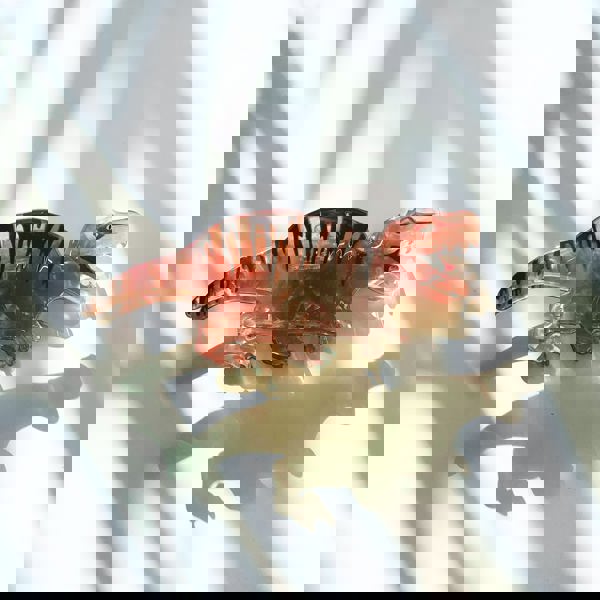 T-Rex Hair Claw | Claw Clip Hair Accessories | Jane.com