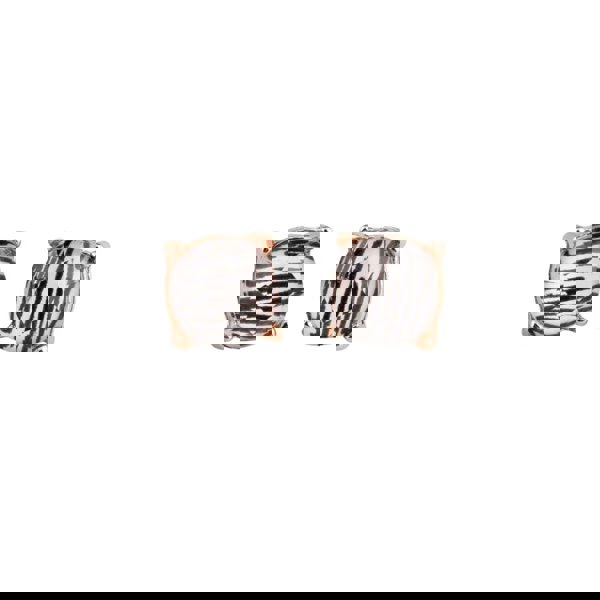 Zebra Stripes Square Stud Earrings | Black and White Bold Animal Print ...