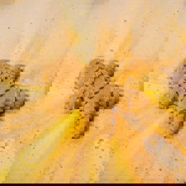 3 Pack Freshly Baked Gingerbread Bath Bomb | Jane.com