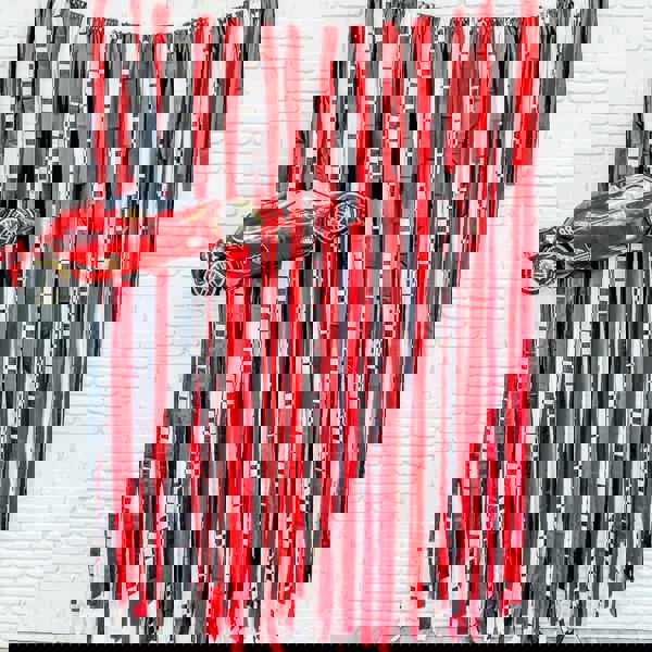 Race Car Fringe Streamer Backdrop | Jane.com